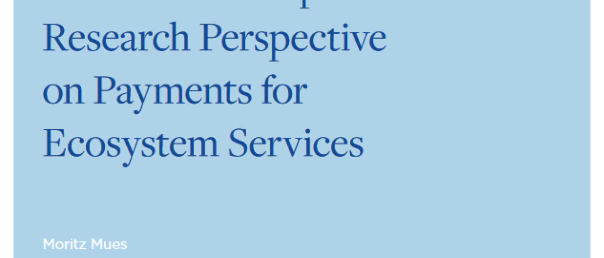 Towards a Comprehensive Research Perspective on Payments for Ecosystem ...