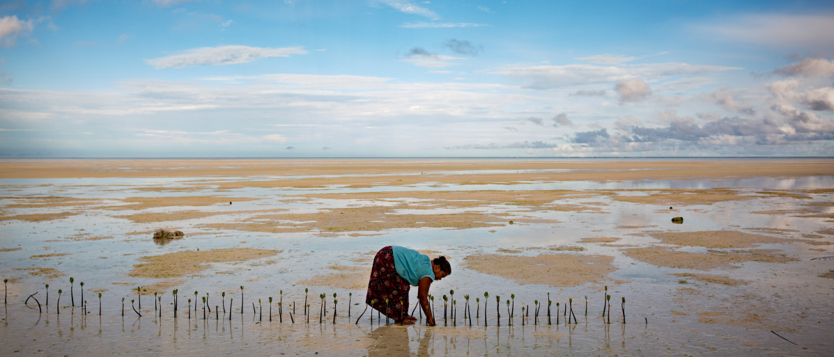 Climate Action in National and International Processes (ClimAct ...