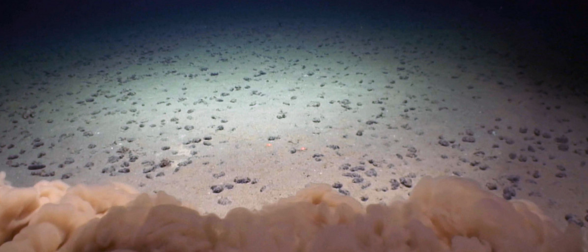 Environmental Standards for Deep Seabed Mining | Research Institute for ...