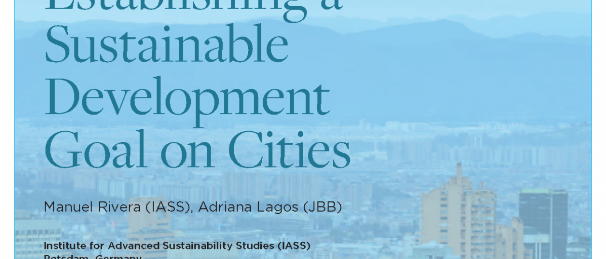 Establishing a Sustainable Development Goal on Cities | Research ...