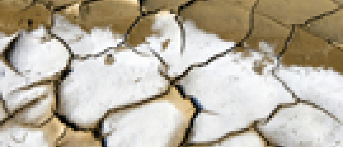 Das 2-Grad-Ziel bleibt relevant | Forschungsinstitut für Nachhaltigkeit